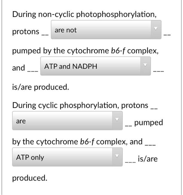 duri ring non cyclic photophosphorylation protons are not pumped by the ...