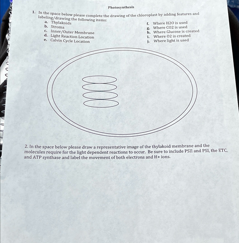 Photosynthesis 1. In the space below please complete the...