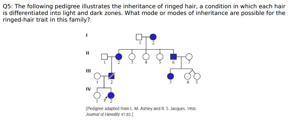 Q5: The following pedigree illustrates the inheritance of ringed hair ...
