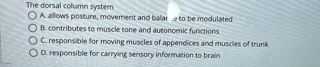 The dorsal column system A. allows posture, movement and balance to be ...