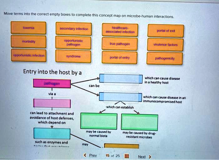 SOLVED: Move terms into the correct empty boxes to complete this concept map on microbe-human ...