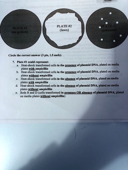 SOLVED: PLATE #2 (lawn) PLATE #1 (growth) PLATE (colonies) Circle the ...