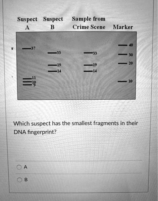 SOLVED: Suspect Suspect Sample from Crime Scene Marker Which suspect ...