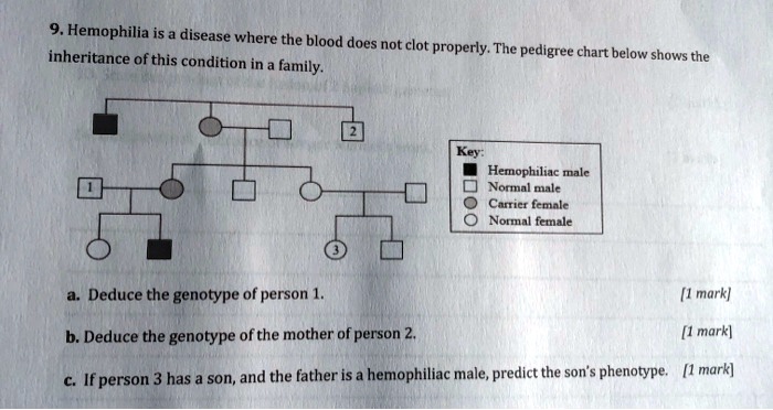 SOLVED: Hemophilia is a disease where the blood does not clot properly ...
