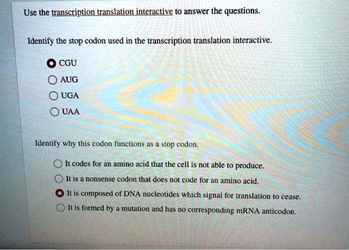 SOLVED: Use the transcriplion translation interactive (0 answer the ...