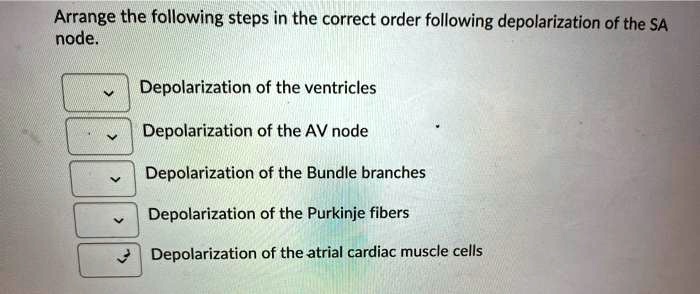 SOLVED: Arrange the following steps in the correct order following ...
