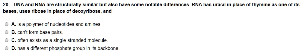 SOLVED: DNA and RNA are structurally similar but also have some notable differences. RNA has ...