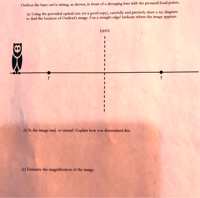Owliver the barn owl is sitting, as shown, in front of a diverging lens with the pictured focal ...