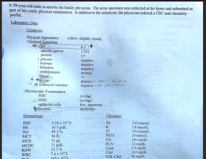 SOLVED: Identify if there are discrepancies in regards to urine ...