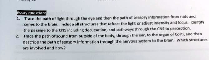 SOLVED: Trace the path of light through the eye and then the path of ...