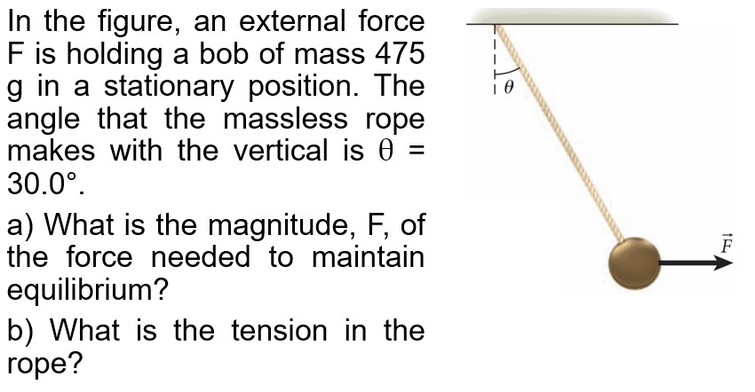 In the figure, an external force F is holding a bob of mass 475 g in a ...