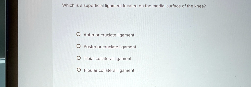 Which is a superficial ligament located on the medial surface of the ...