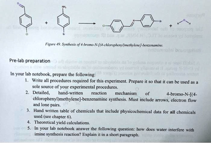 SOLVED: Figure 49. Synthesis of 4-bromo-N-[(4-chlorophenyllmethylene ...