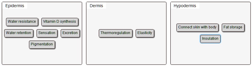 SOLVED: Fix the two errors. Put each item in its appropriate category. Epidermis Dermis ...