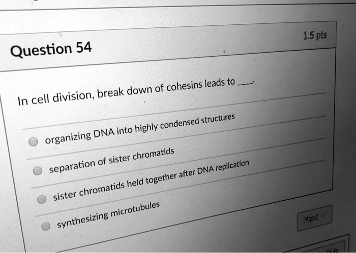 SOLVED:1,5pts Question 54 of cohesins leads to cell division; break ... SOLVED:1,5pts Question 54 of cohesins leads to cell division; break ...
