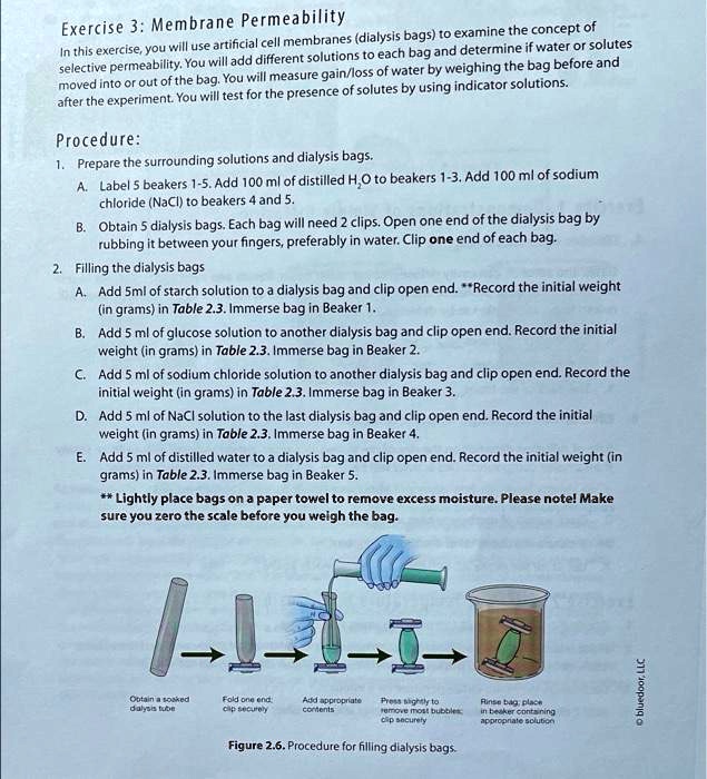 Exercise 3: Membrane Permeability In this exercise, you will use ...