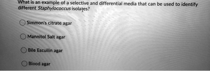 SOLVED: What is an example of a selective and differential media that ...