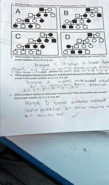 1. Use the pedigrees shown below to answer the following questions (15 ...