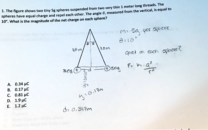 1. The figure shows two tiny 5g spheres suspended from two very thin 1 ...