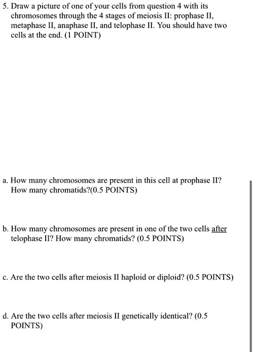 draw picture of one of your cells from question with its chromosomcs ...