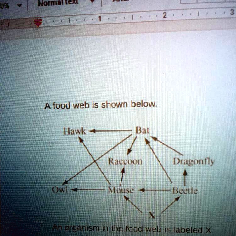 SOLVED: A food web is shown below: Hawk + Bat Raccoon Dragonfly Owl ...