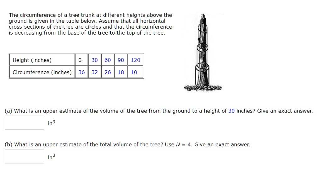 SOLVED: The circumference of a tree trunk at different heights above ...