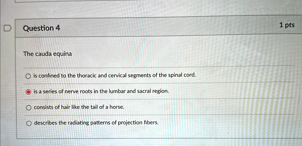 question 4 the cauda equina is confined to the thoracic and cervical ...