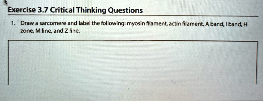 exercise 37 critical thinking questions 1 draw a sarcomere and label ...