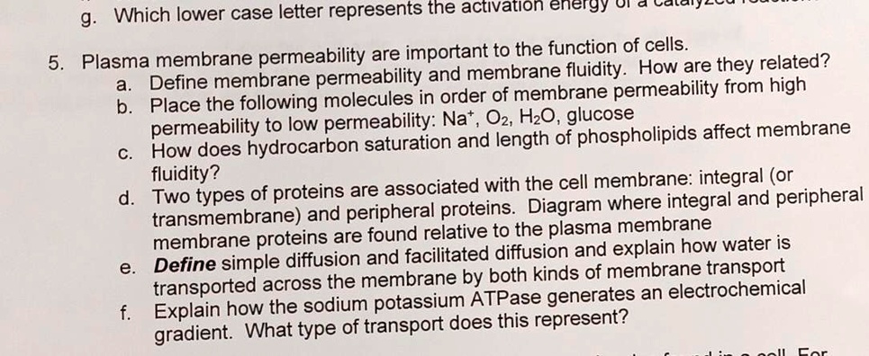 SOLVED: 5. Plasma membrane permeability is important to the function of ...