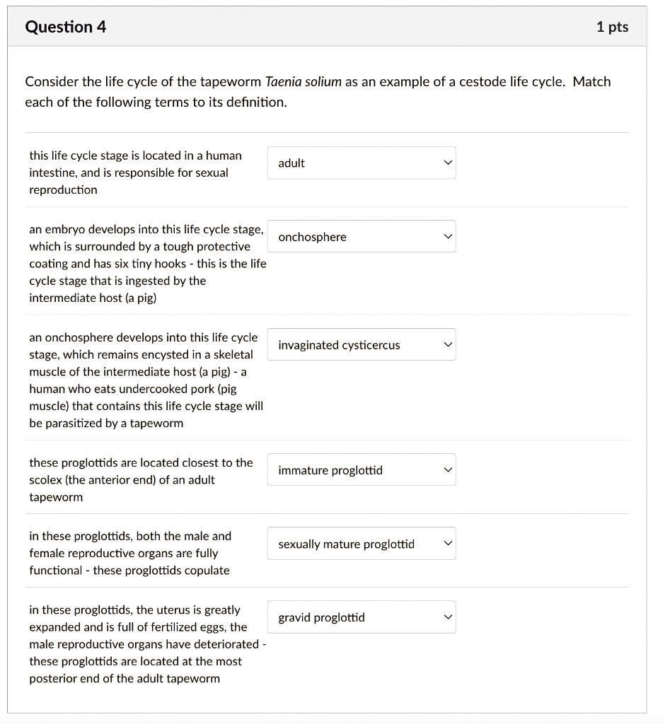 SOLVED: Consider the life cycle of the tapeworm Taenia solium as an ...