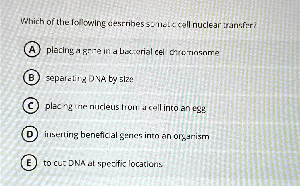 which of the following describes somatic cell nuclear transfer placing ...