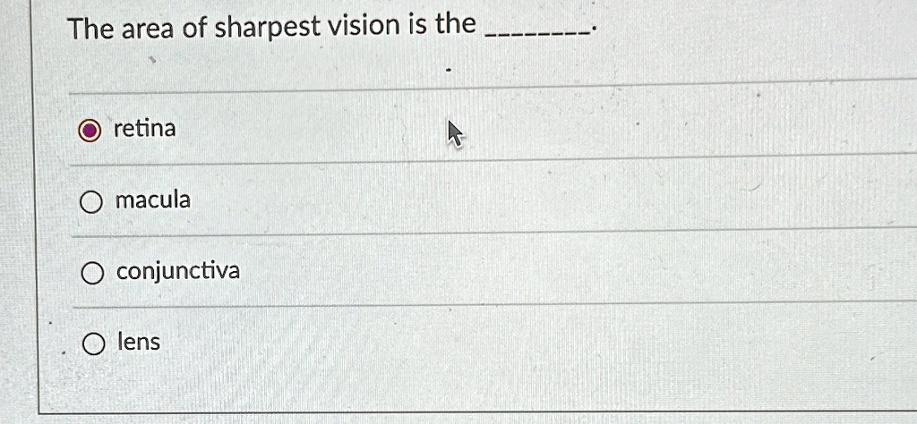 The area of sharpest vision is the retina macula conjunctiva lens The ...