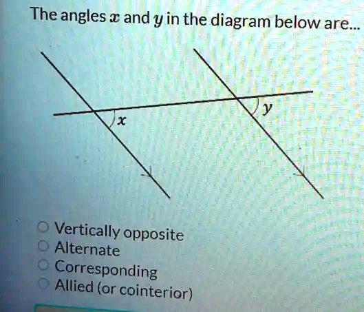 SOLVED: The angles â‚¬ and y in the diagram below are vertically opposite, alternate ...