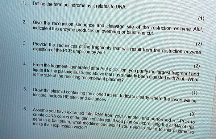 define the term palindrome as it relates to dna give iherecognition ...