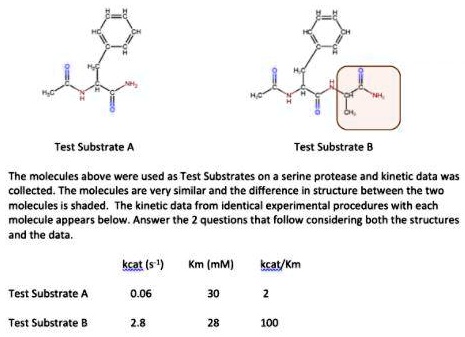 test substrate test substrate the molccules above wcre uscd as test ...