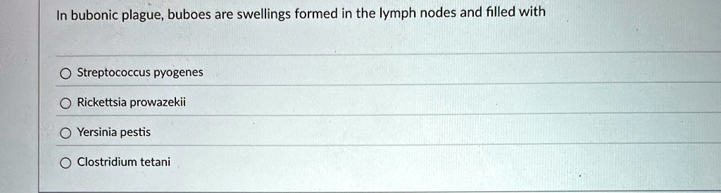 in bubonic plague buboes are swellings formed in the lymph nodes and ...