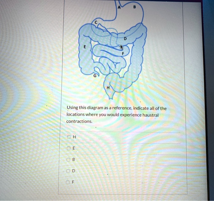 SOLVED: Using this diagram as a reference, indicate all of the ...