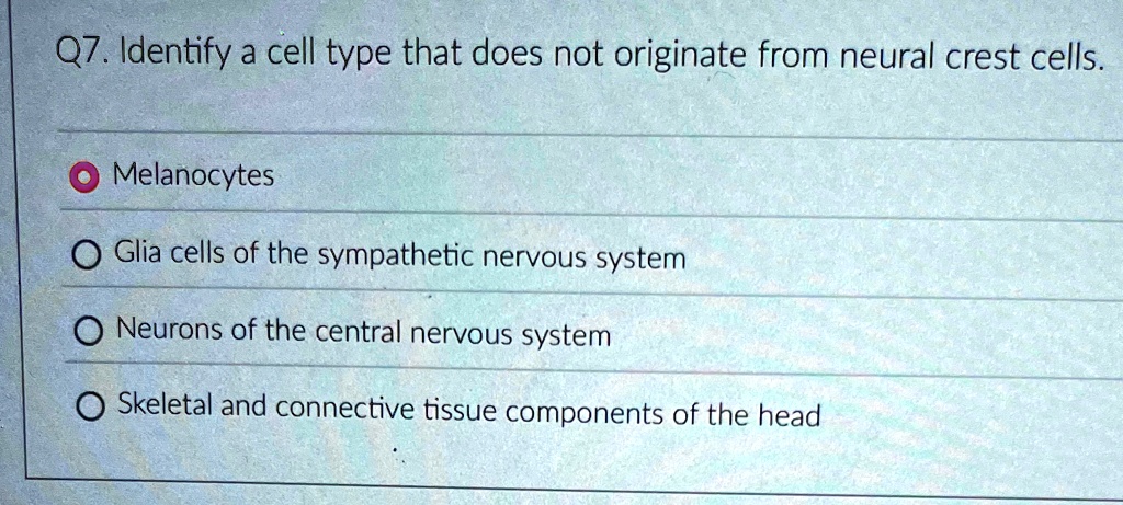 Q7. Identify a cell type that does not originate from neural crest ...