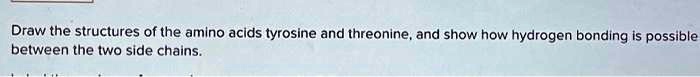 Draw the structures of the amino acids tyrosine and threonine, and show ...