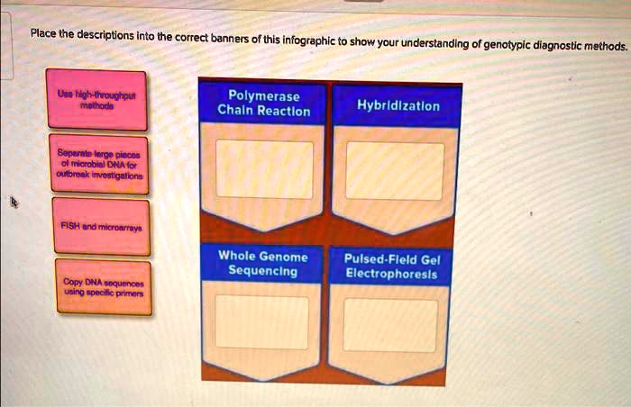 place the descriptions into the correct banners of this infographic to ...