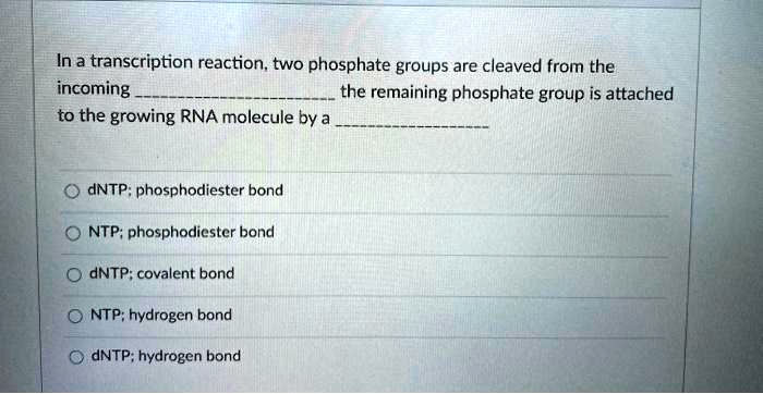 SOLVED: In a transcription reaction, two phosphate groups are cleaved ...