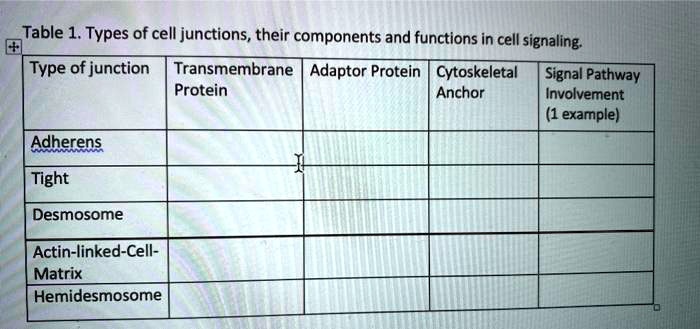 SOLVED:Table 1. Types of cell junctions, their components and functions ...
