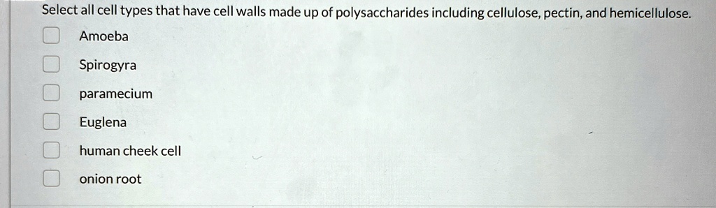 Select all cell types that have cell walls made up of polysaccharides ...