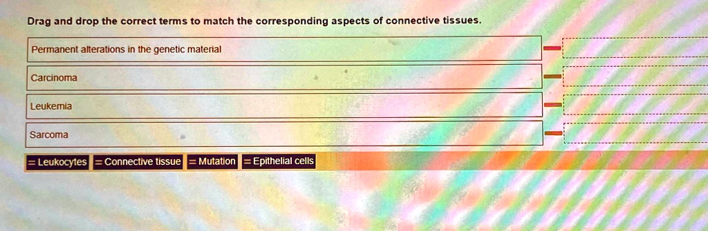 Drag and drop the correct terms to match the corresponding aspects of ...