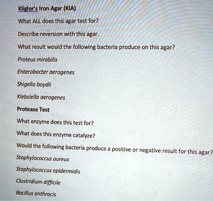 SOLVED: Kliglor's Iron Agar(KIA) What ALL does this agar test for ...