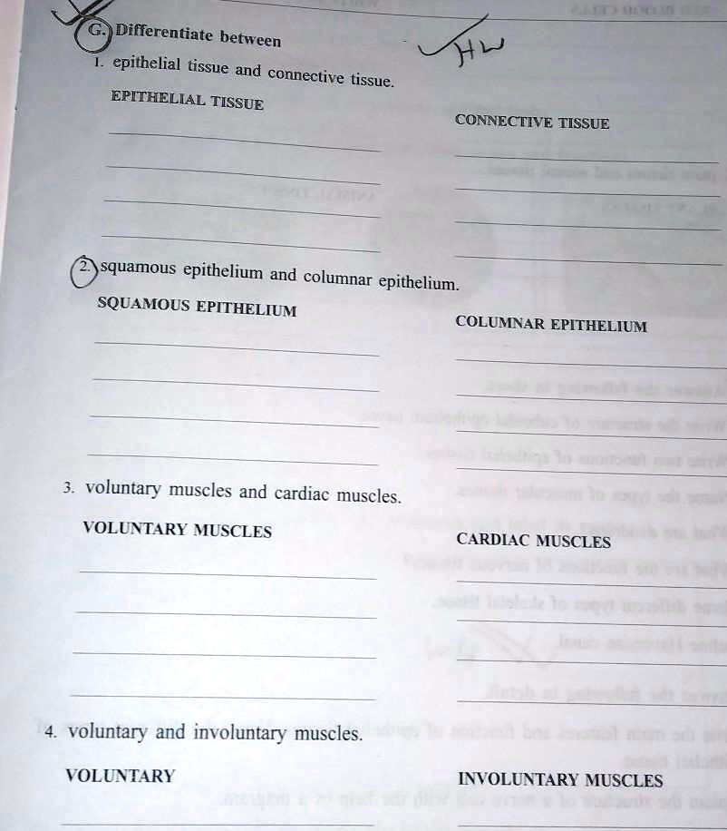 SOLVED: Differentiate between epithelial tissue and connective tissue ...