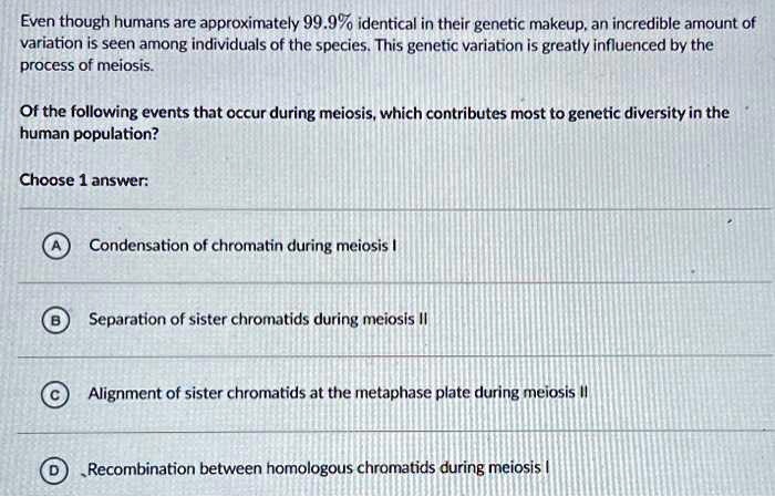 Genetic Makeup Of Meiosis - Mugeek Vidalondon