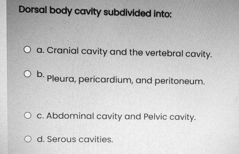 Dorsal body cavity subdivided into: a. Cranial cavity and the vertebral ...