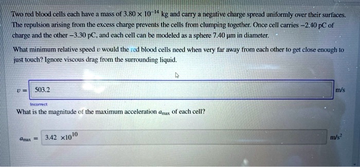 SOLVED: Two red blood cells each have mass of 3.80 X 10 kg and carry ...