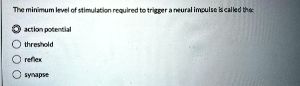 the minimum level of stimulation required to trigger a neural impulse ...